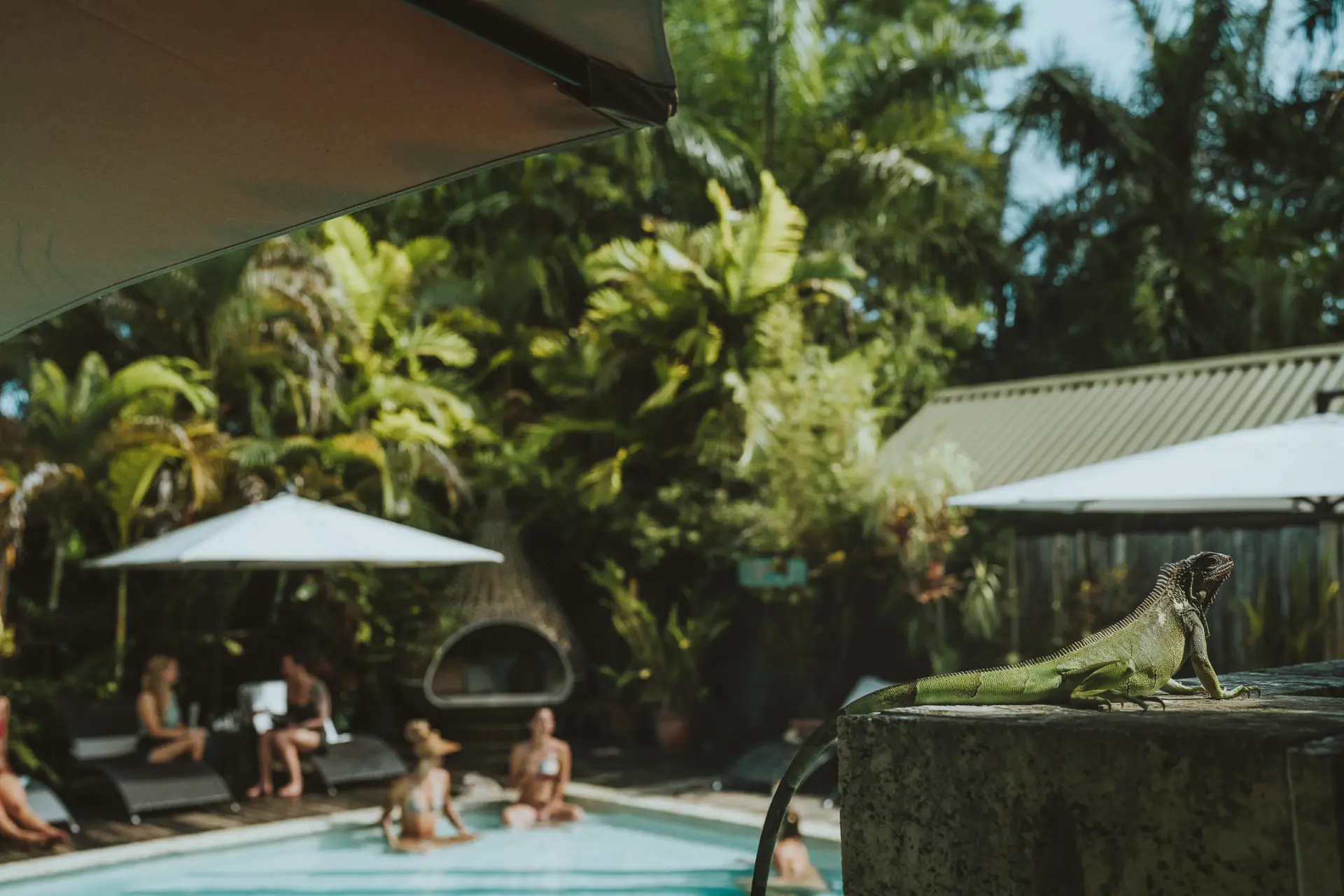 The Art of Living Inspired: Creative Embodiment at Danyasa - Danyasa ...